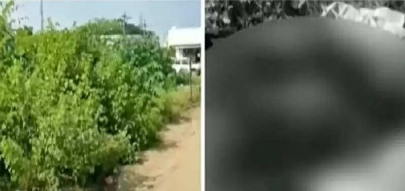 பெற்ற மகளை உயிருடன் புதைத்த கொடூரம்! தாயும், பாட்டியும் சேர்ந்து செய்த ...